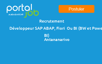 Emploi - Recrutement Développeur SAP ABAP, Fiori Ou BI (BW et Power BI) -réf: DEV-SAP08 a ...